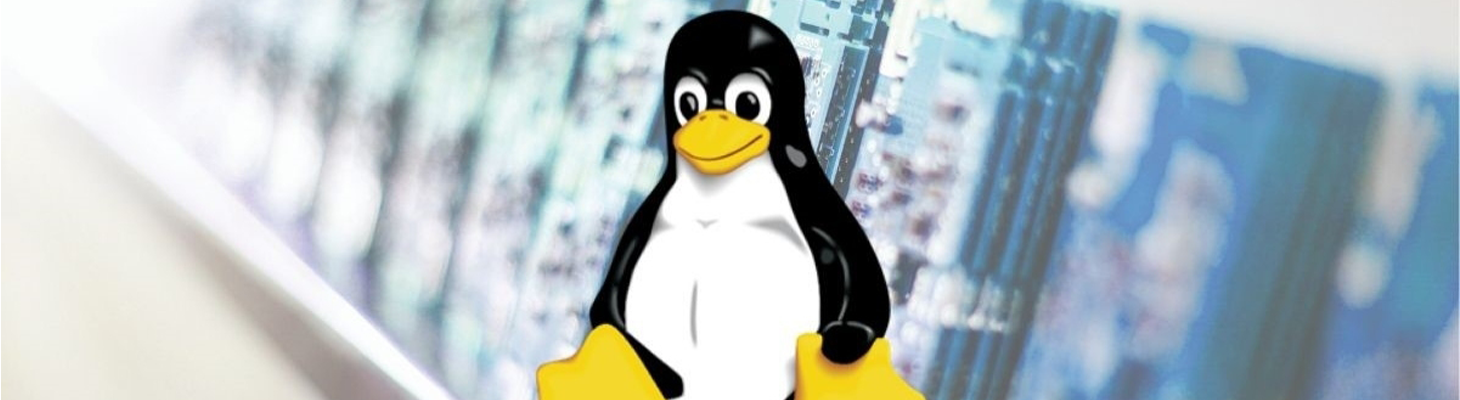 Choosing the Right Linux Distribution for your Embedded Application - Densitron Japan
